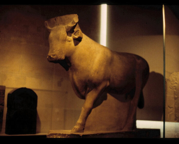 Vita e morte di una divinità egizia: il toro Api - MediterraneoAntico